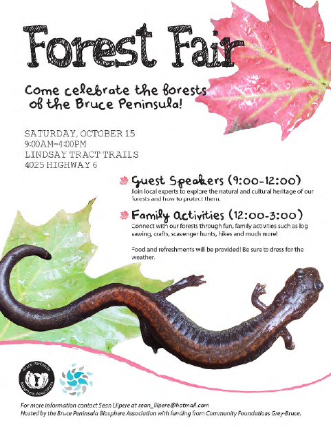 Coming Soon: Bruce Peninsula Forest Fair – Bruce Grey Woodlands Association